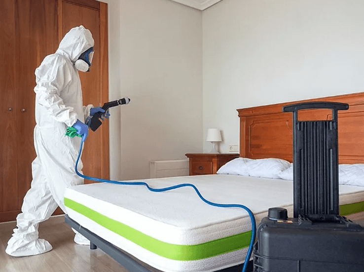 Residential Pest Control Services: Core Elements – A Complete Guide ...